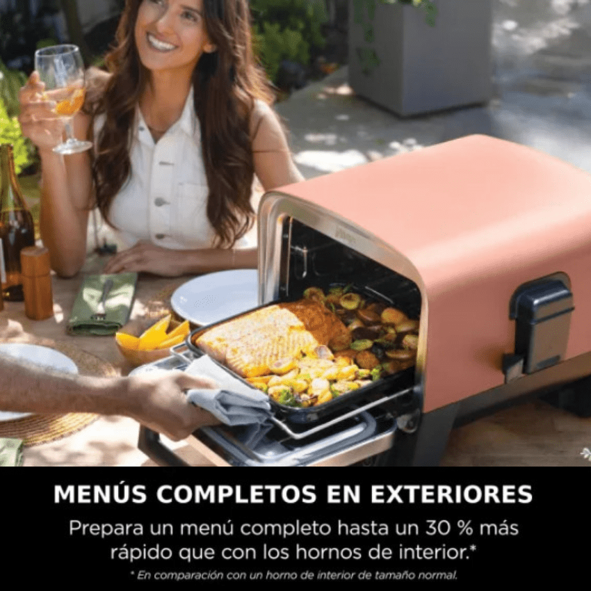 Horno Eléctrico de Exterior Ninja Woodfire OO101EU | Foodie Alfer